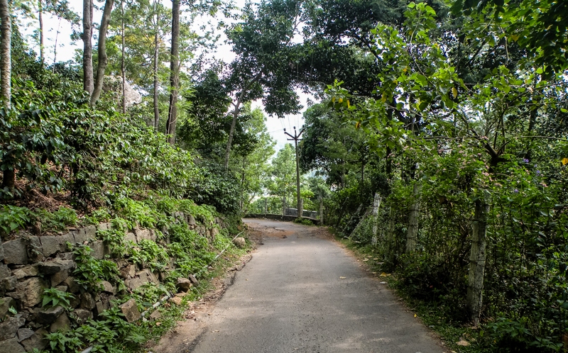 Tamilnadu Tourism: Kiliyur Falls, Yercaud