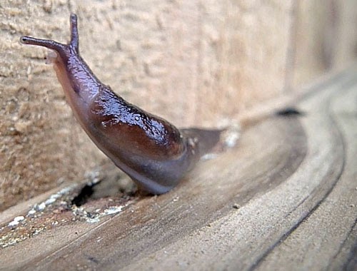 jeremy richter | photography :: blog: The Way of the Sluggard