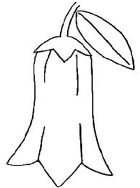 Dibujo de COPIHUE para colorear - Imagui