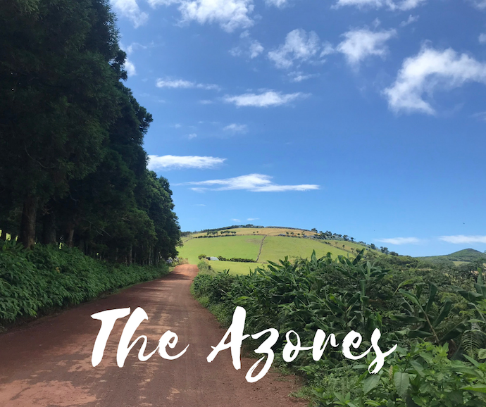the piri-piri lexicon: 3 weeks in the Azores with kids: itinerary and tips