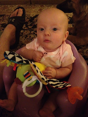 The Pair of Scates: Austin First Steps, plus My Last Week of Freedom!