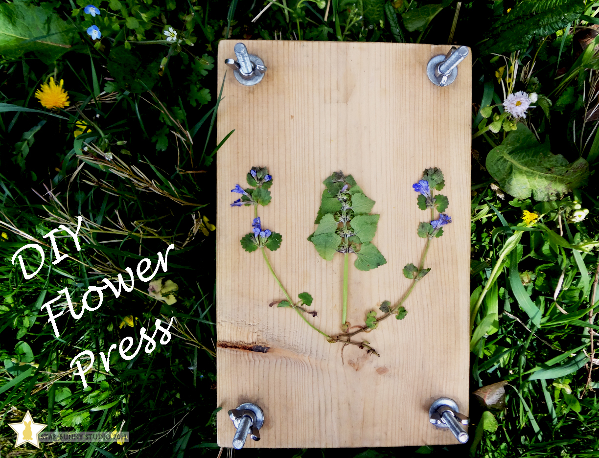 Star Bunny Studio: DIY Flower Press