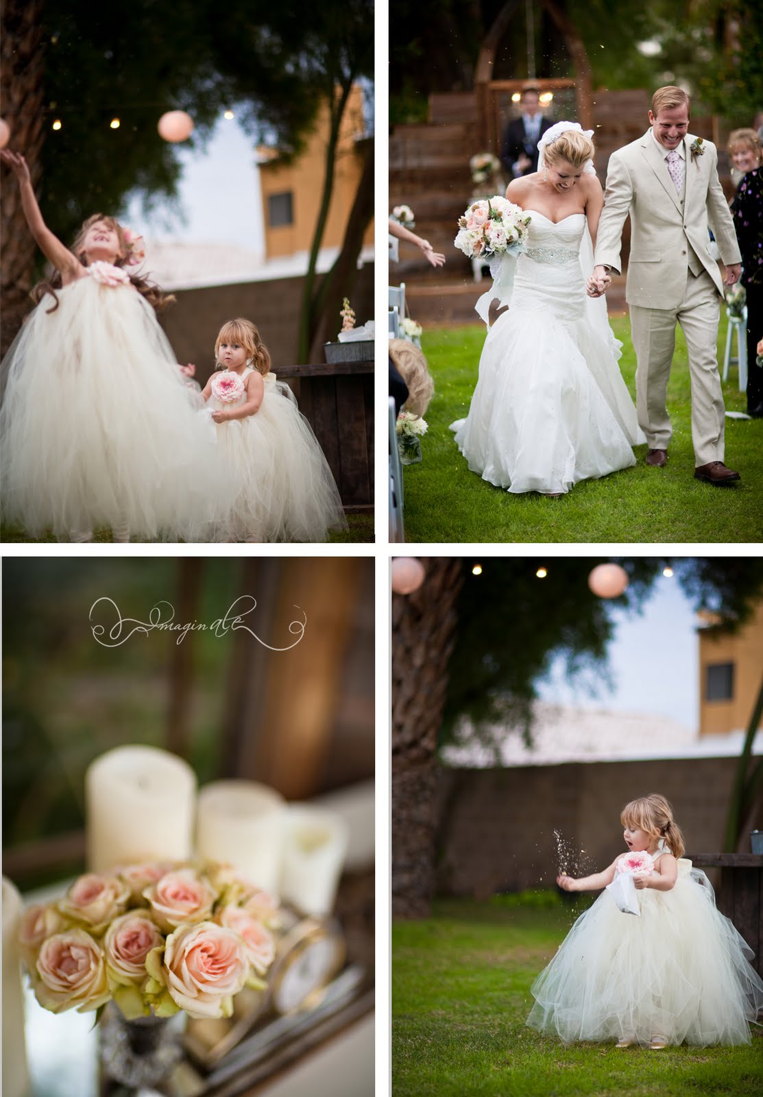 Ale Vidal: David + Devon: Mesa, Arizona Wedding Pt II