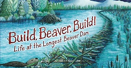 Archimedes Notebook: Build, Beaver, Build ~ interview with illustrator