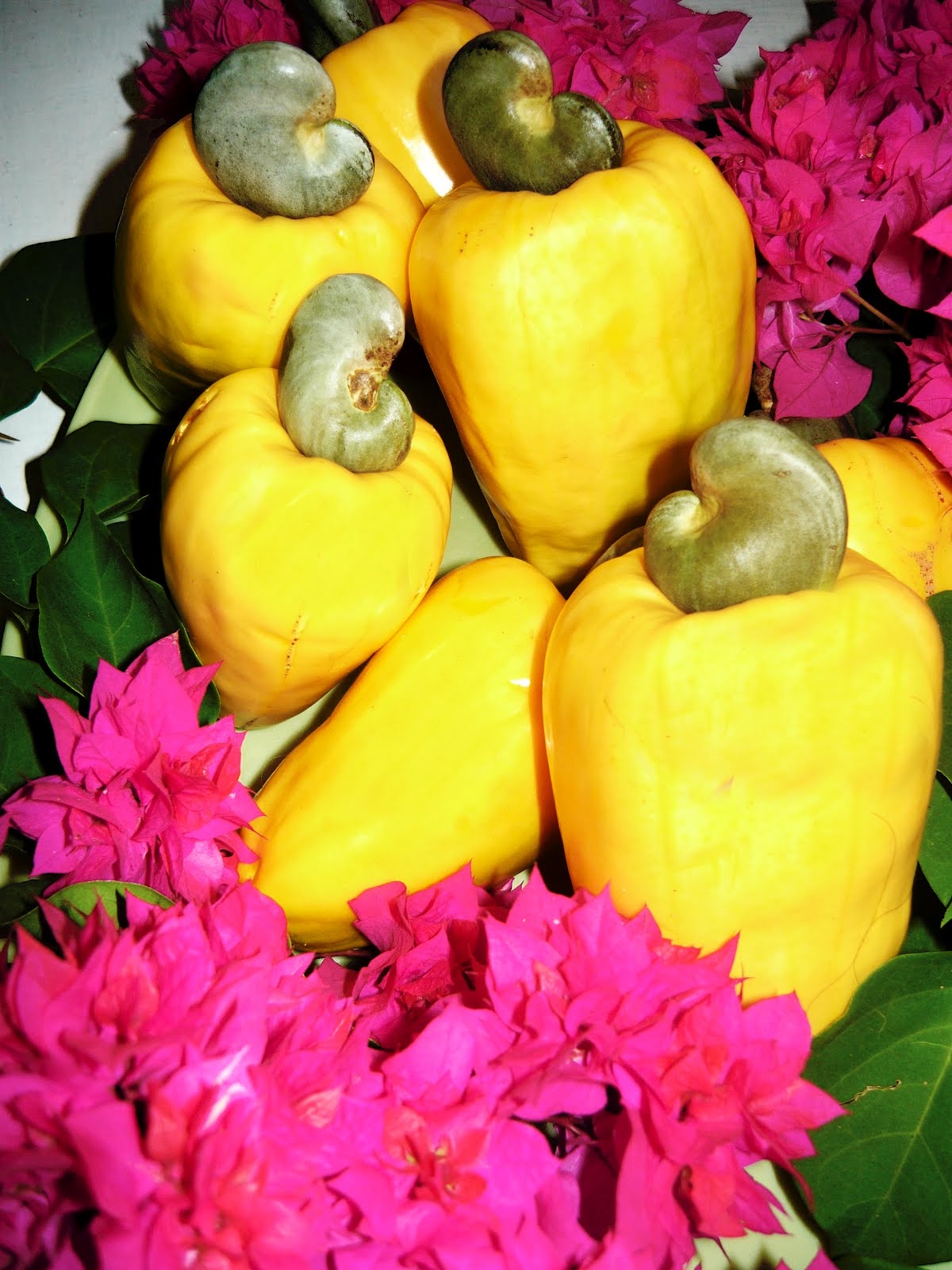 BIENVENIDOS: EL MARAÑON FRUTA DE TEMPORADA