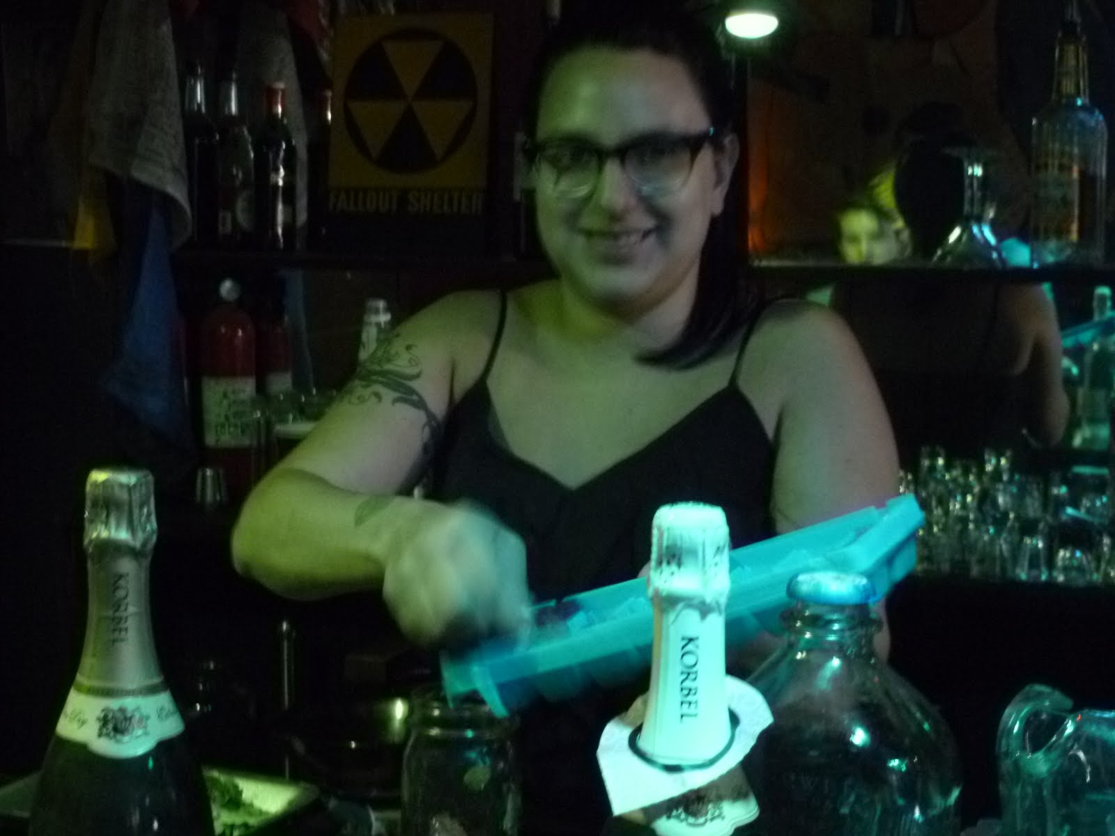 Vicissitudes of the Damned: Issue No. 81: Feather Metsch's Polaroid ...