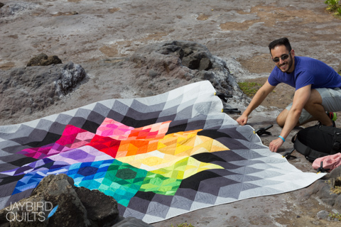 Jaybird Quilts: Gravity Quilt