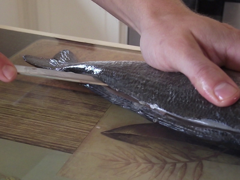 Calso Cooks from the Sustainable Larder: Fillet and pin-boning a fish