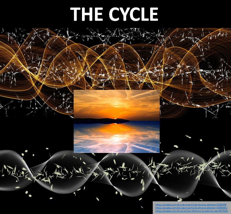 Apply for Life: THE CYCLE