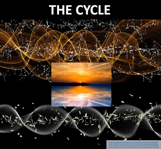 Apply for Life: THE CYCLE