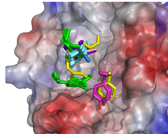 Eric Drexler reports on foldamer engineering that substantially ...