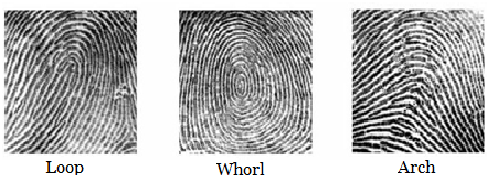 Image Processing with Matlab: Fingerprint Introduction