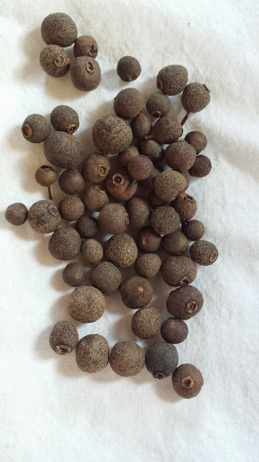 La malagueta o "berrón": una “maraquita” con aroma y sabor. - Folklore ...