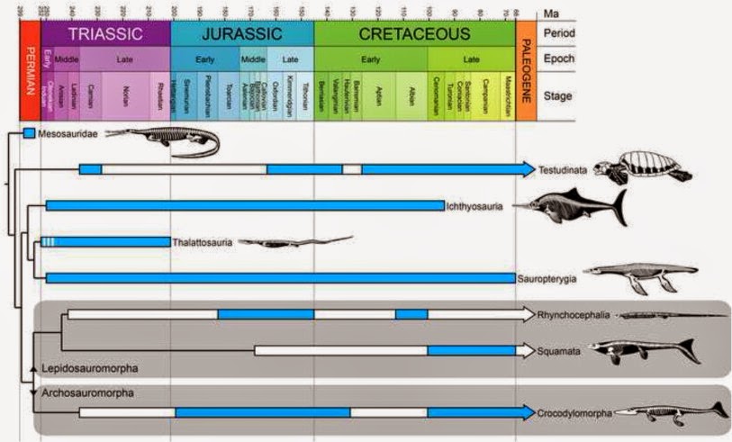 The Dragon's Tales: Mesozoic Marine Reptile Palaeobiogeography