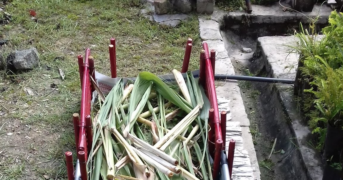 Jom Tanam Sayur ( JTS ) : Batas Timbun Baru No.5 - 2Jom Tanam Sayur ...