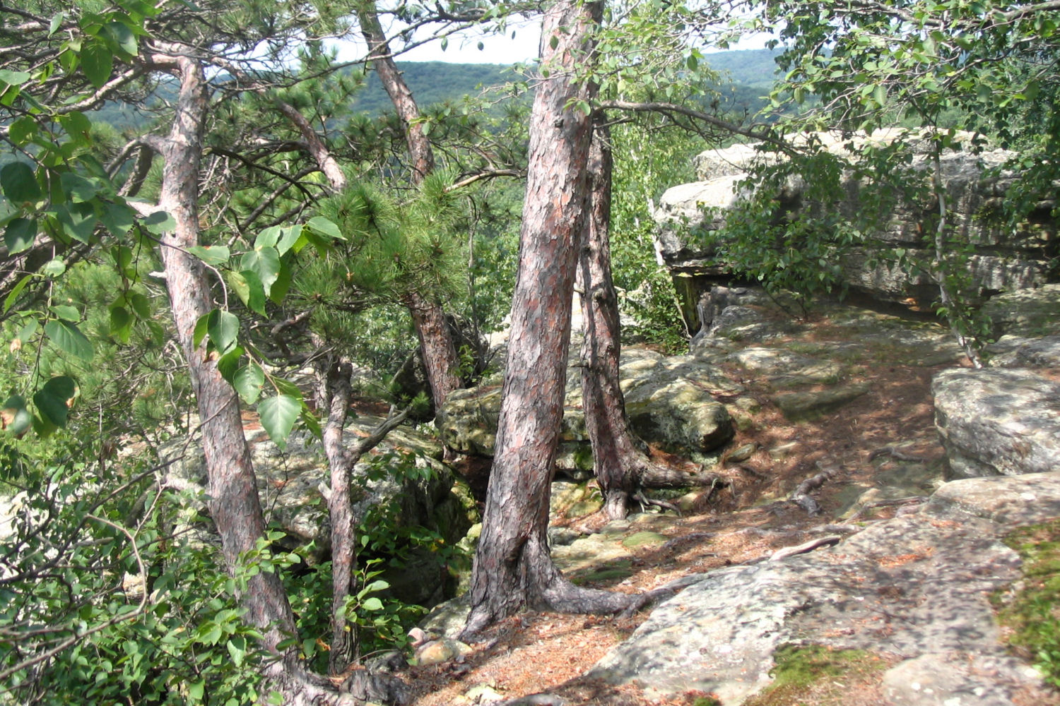 Circle Shrine Walk: 02 Aug 2004 Green Spirit Steps to Spirit Rock