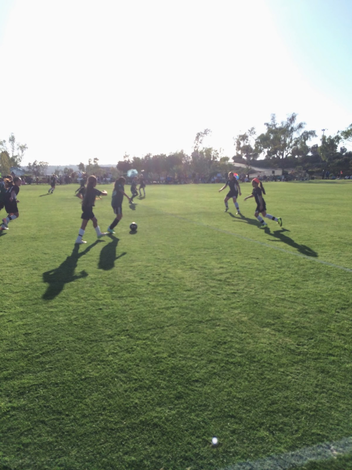 CVLCC Soccer Assistant Coaching: Finals - CVLCC wins 1st place