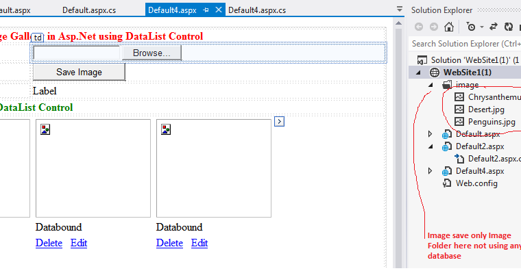 How To Create Image Gallery In Aspnet Using Datalist Control Without Using Any Database