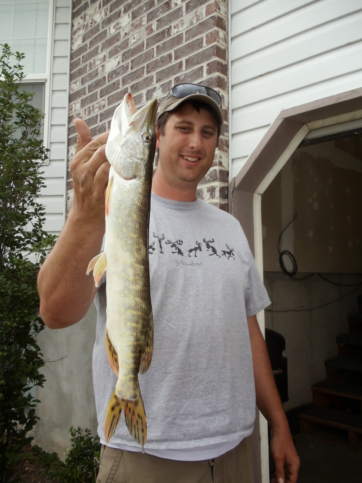 Utah Fisherman: Northern Pike