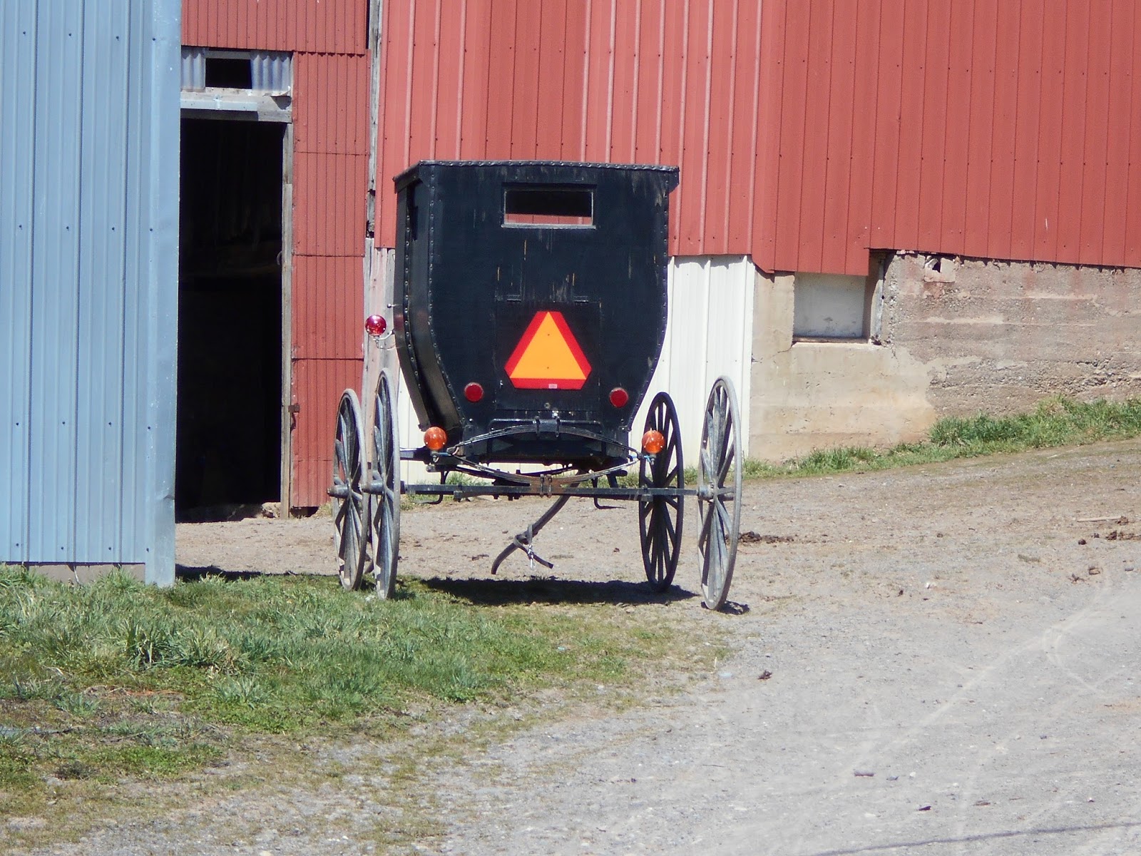 New York State of Mind: AMISH AND OLD ORDER MENNONITE BUGGIES
