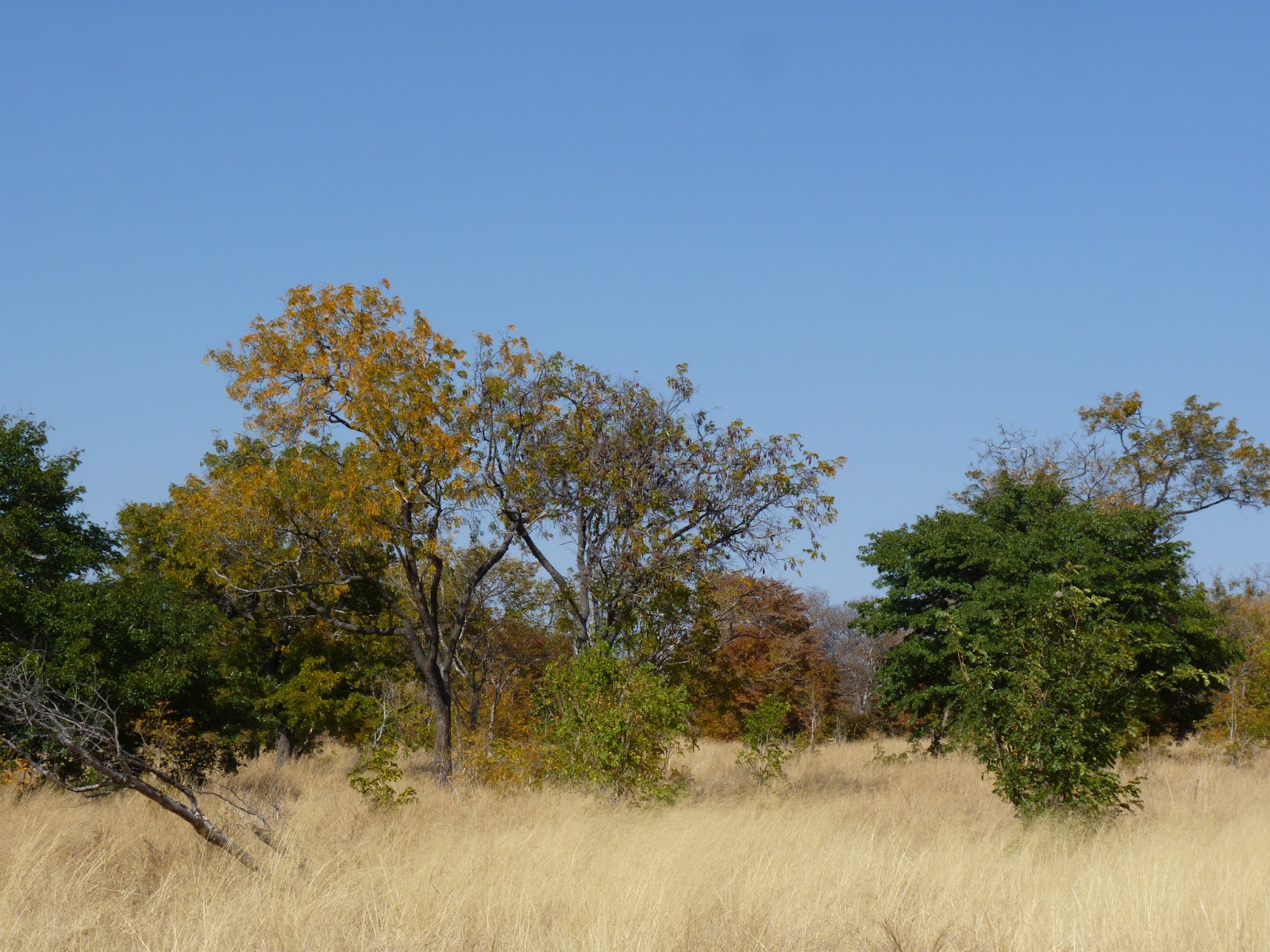 marian y dani: En ruta, cruzando el norte de Namibia...
