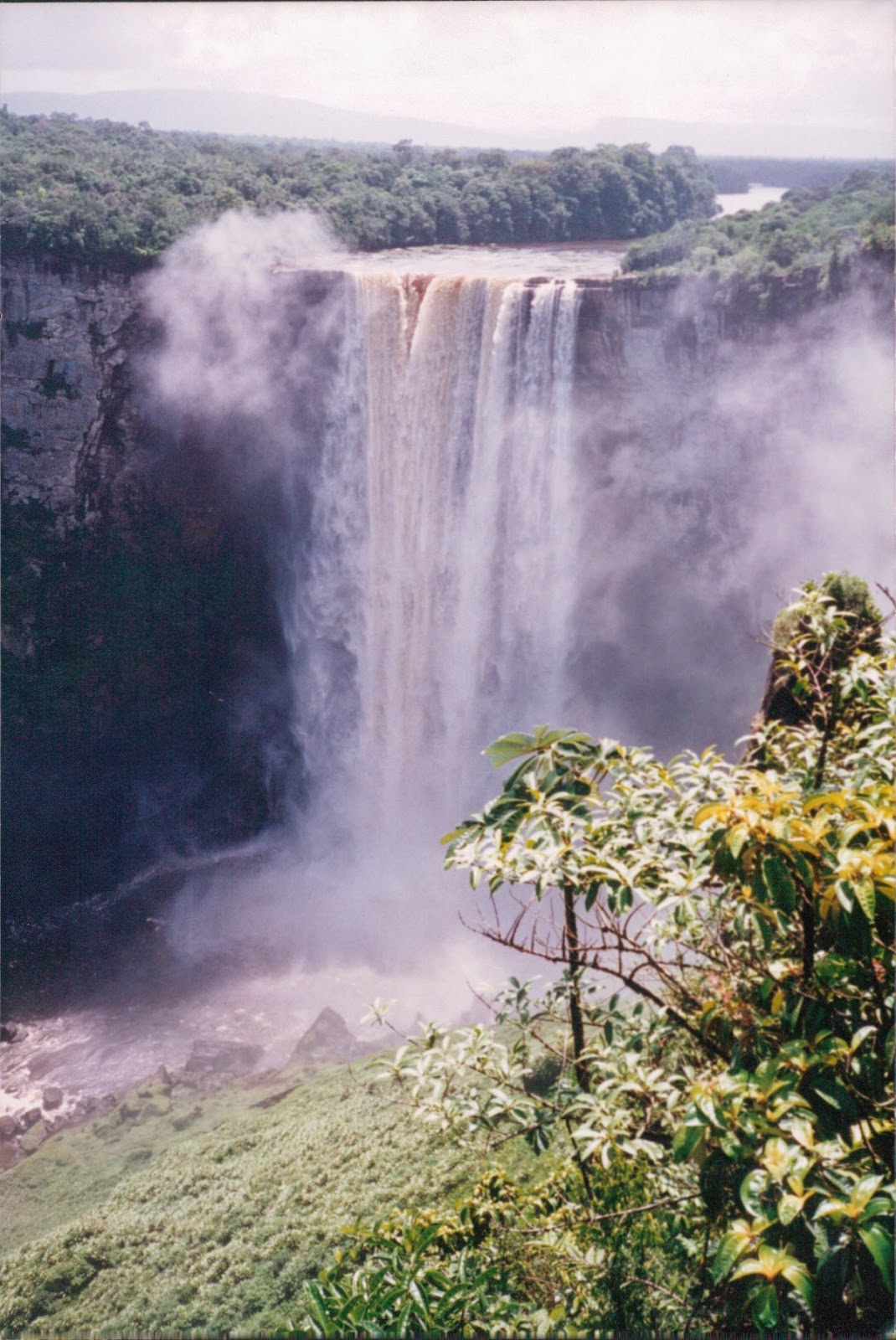 Guyana Tropical Trek