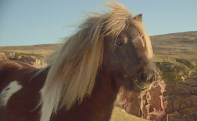 Kuda padi yang pandai buat moonwalk