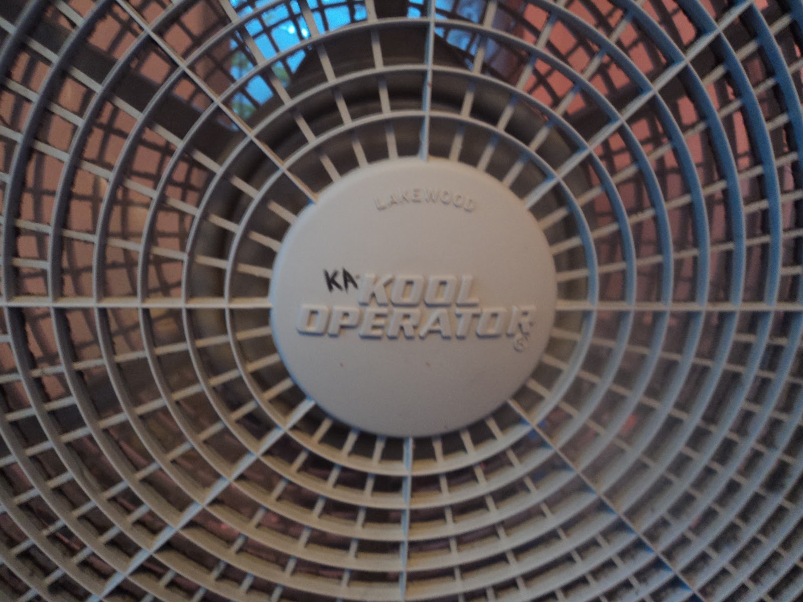 Jay in Cancun: The Bleeding Fan...