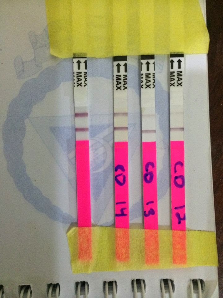 APA SYARAT-SYARAT MENGGUNAKAN OPK???? | Ovulation test kit (opk ...