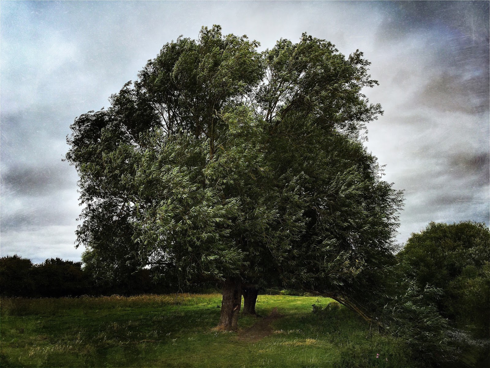 Some colour photos of the Lodes Way and the River Cam by Grantchester ...