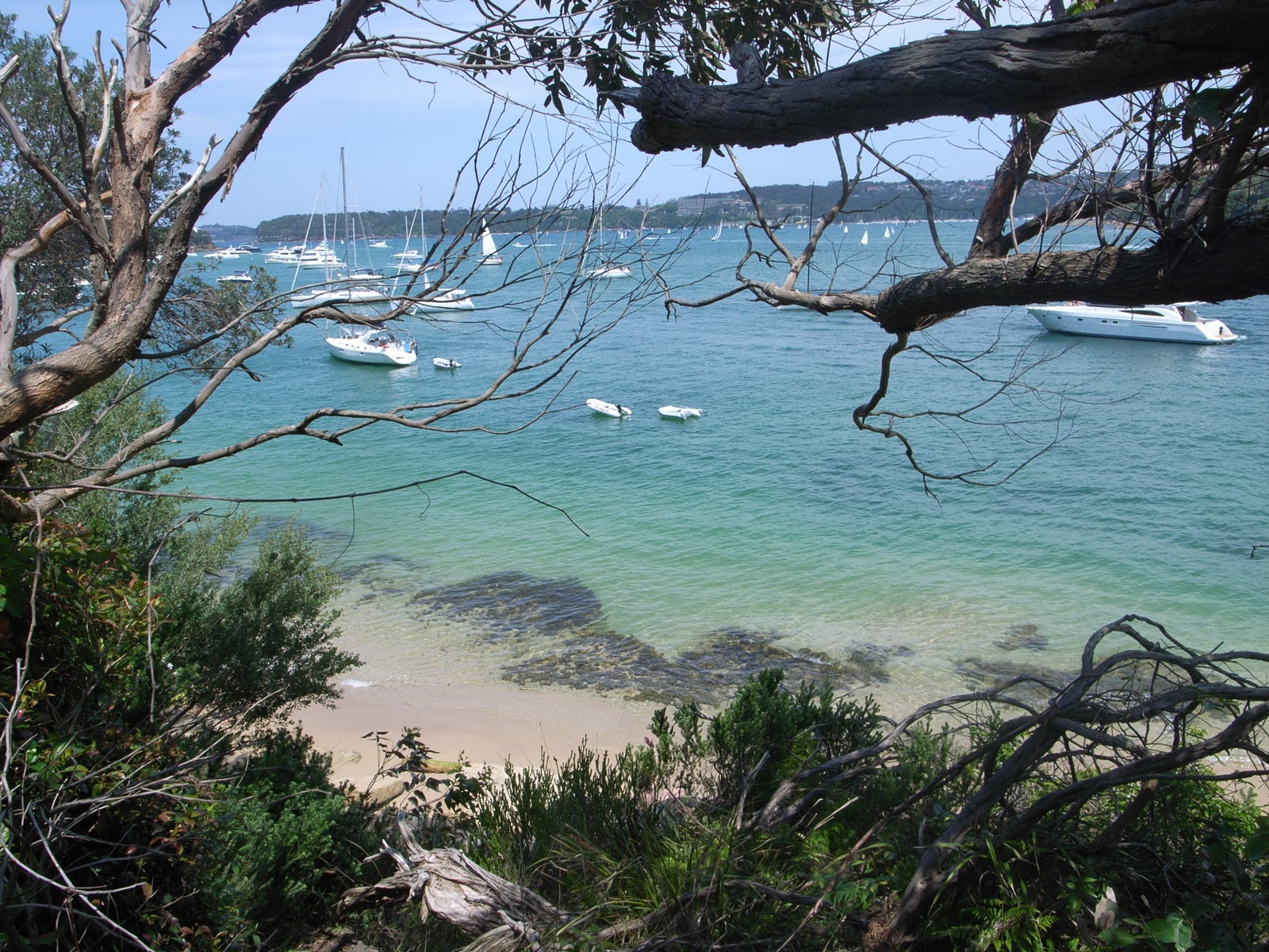 Photos from Australia: Manly to Spit Bridge Scenic Walkway