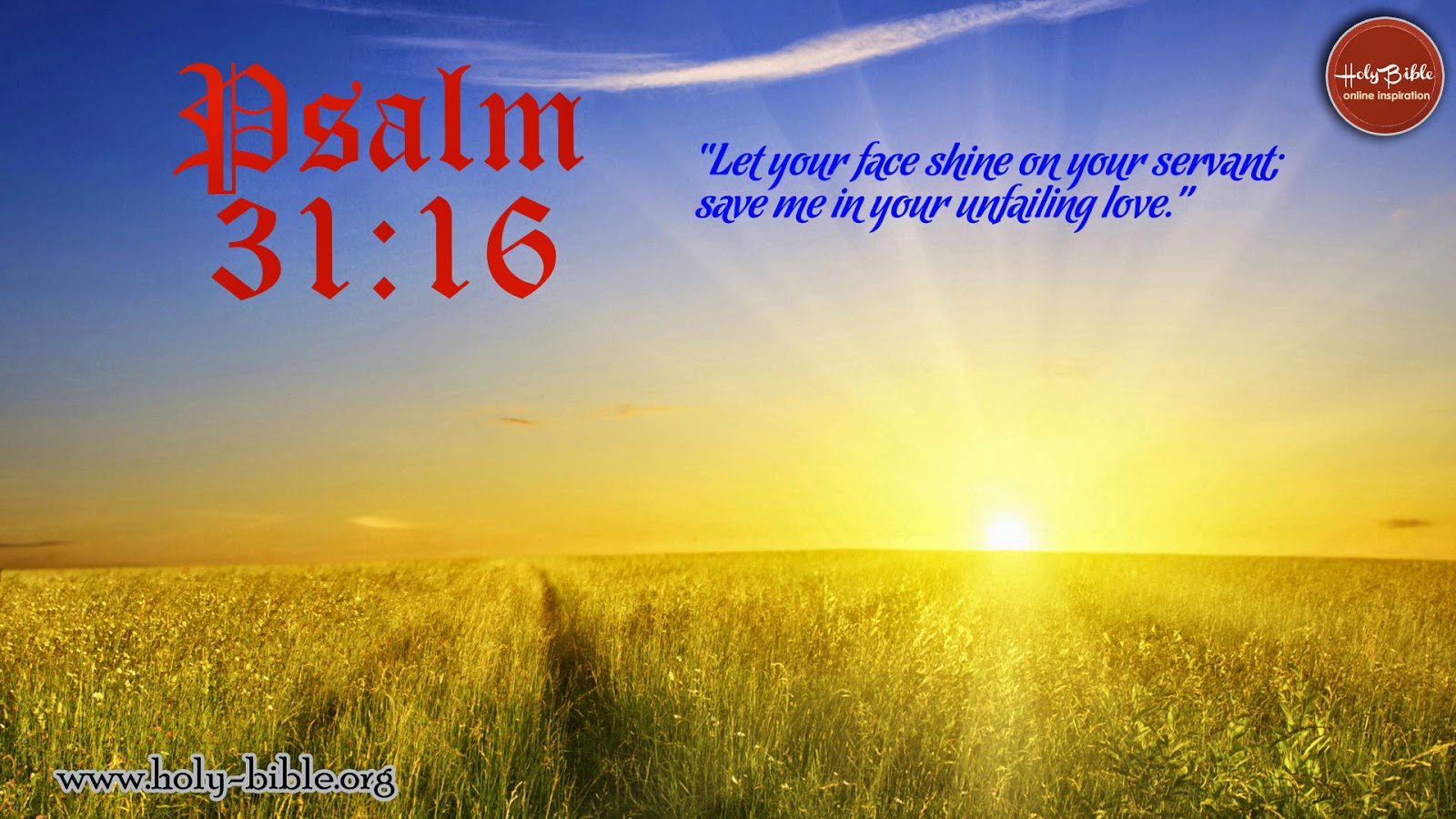 MIGHTY WARRIOR BLOG Psalm 31 mighty-warrior-blog-psalm-31
