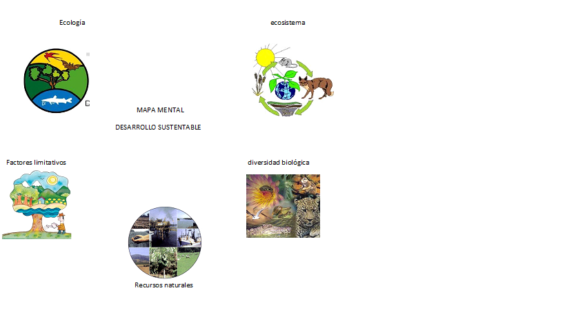 Eco Mundo Mapa Mental Desarrollo Sustentable