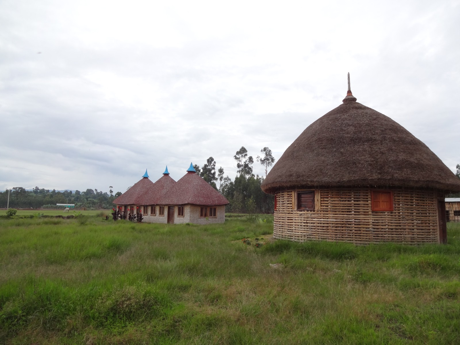 Developments in rural areas across the world: Setting new standarts in ...