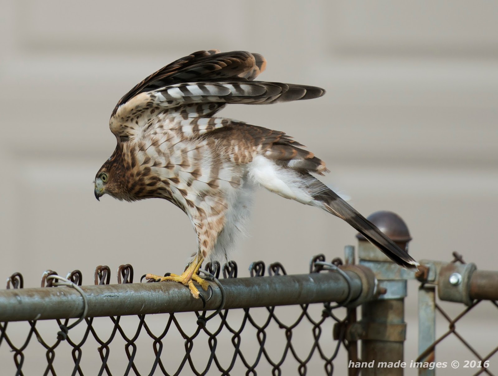 In Search of Perfect Light...: Connections