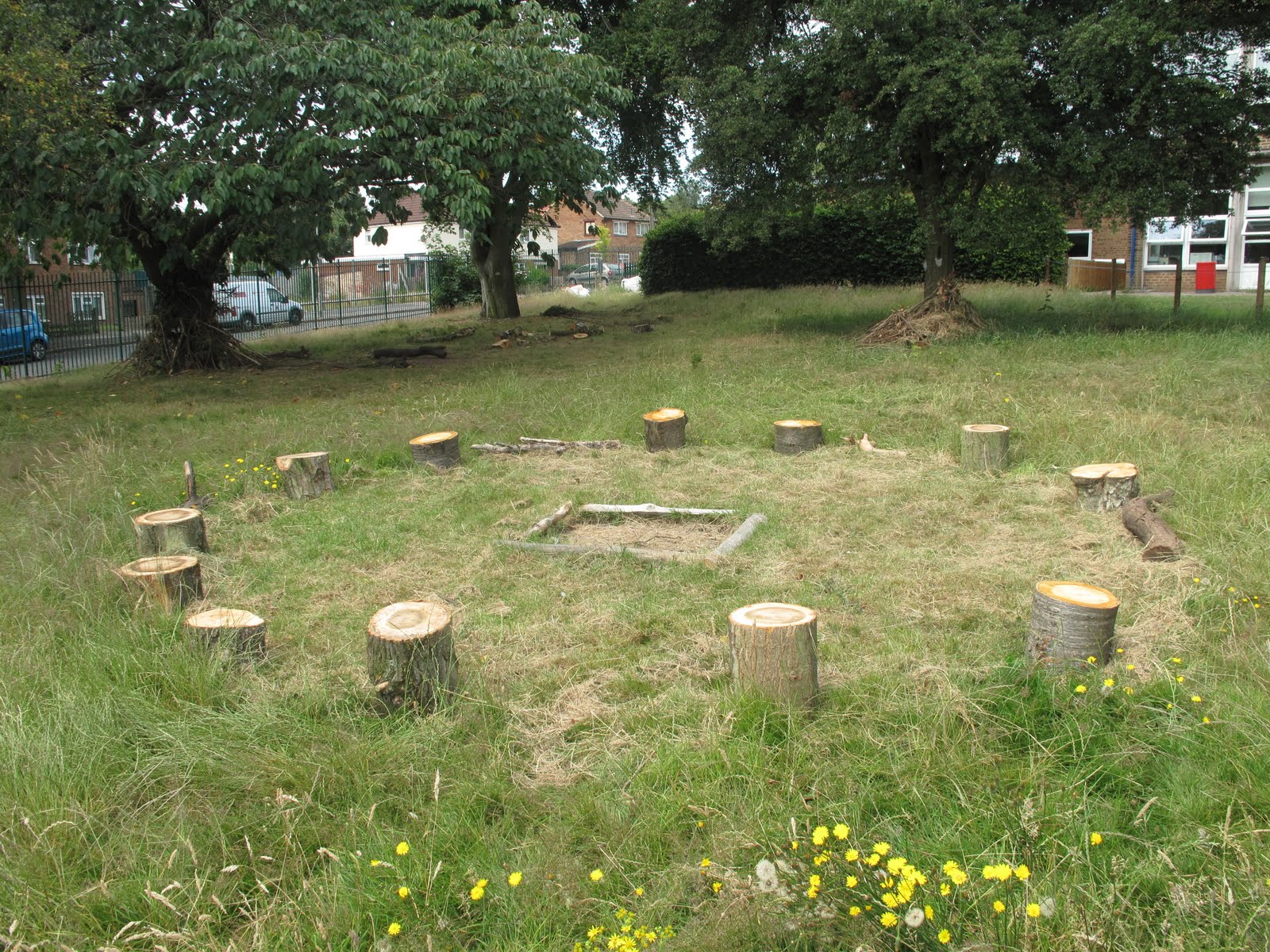 LYNDON GREEN JUNIOR FOREST SCHOOL: July 2011