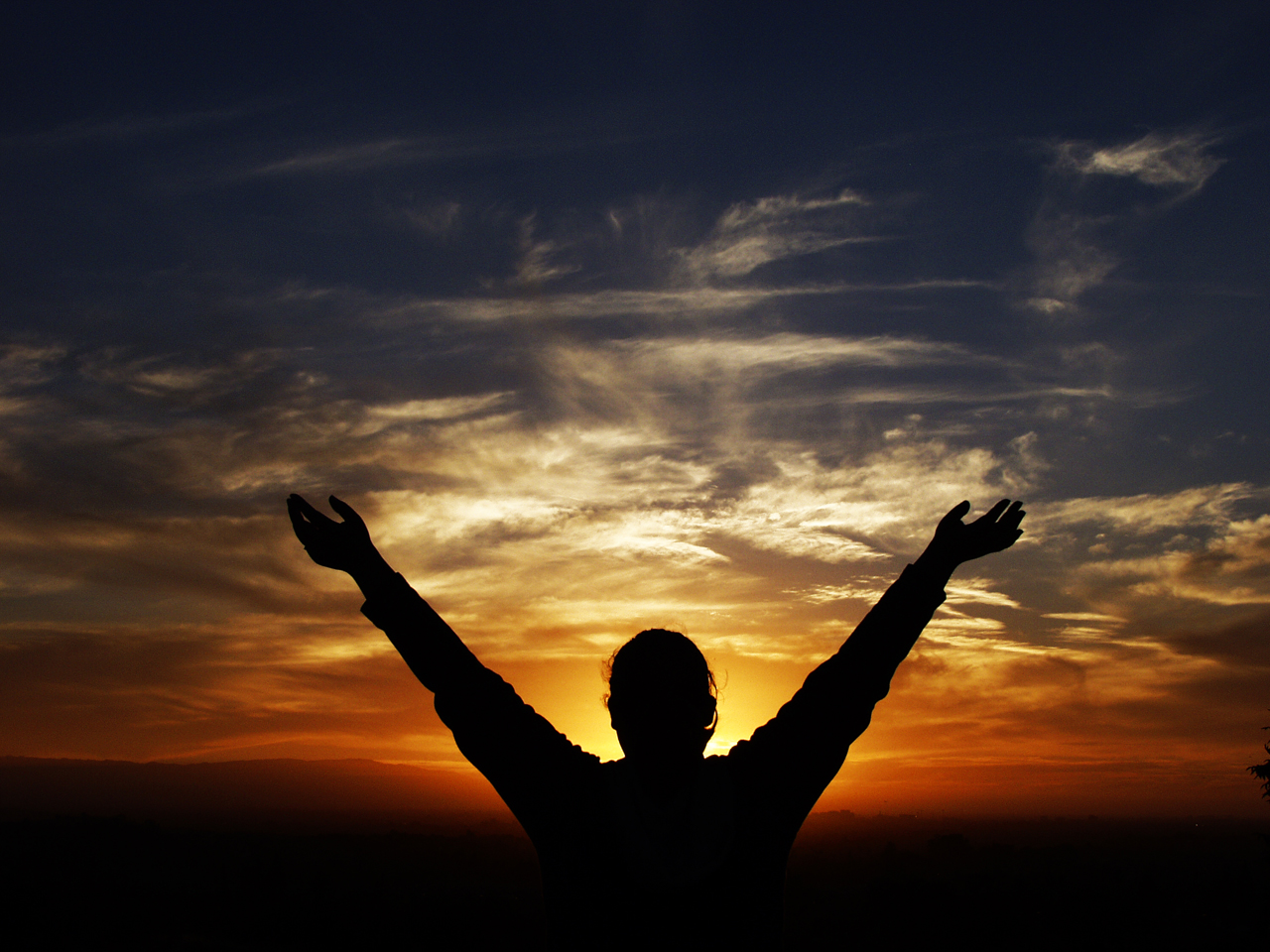 Ut unum sint: ¿Qué es la vida?