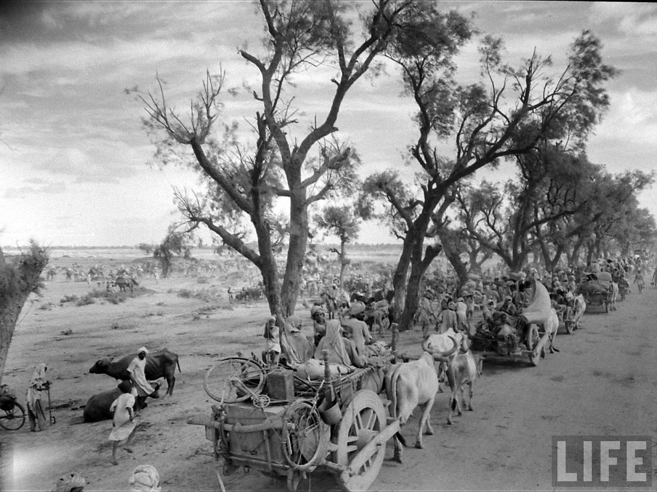 Partition Of India (Indian Partition) Rare Photos | Rare & Old Vintage ...