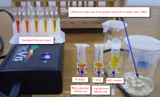 IB Biology/Chemistry: New IA Design