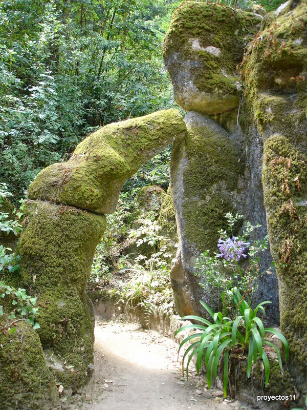 La senda del genio del lugar: CENIZO, PALO CENIZO ( Leucophyllum ...