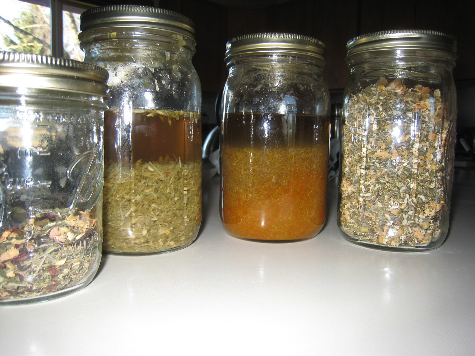 Dreaming A Beautiful World: Making Herbal Tea