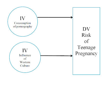Business Research: Teenage Pregnancy: The model of IV,DV,MV & IVV