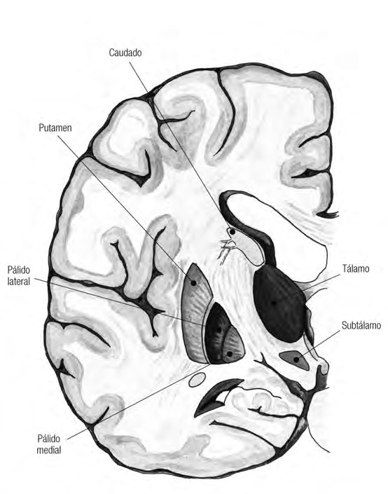 RESPUESTAS DESGLOSES: NEUROLOGIA, P209 MIR 2000-2001F