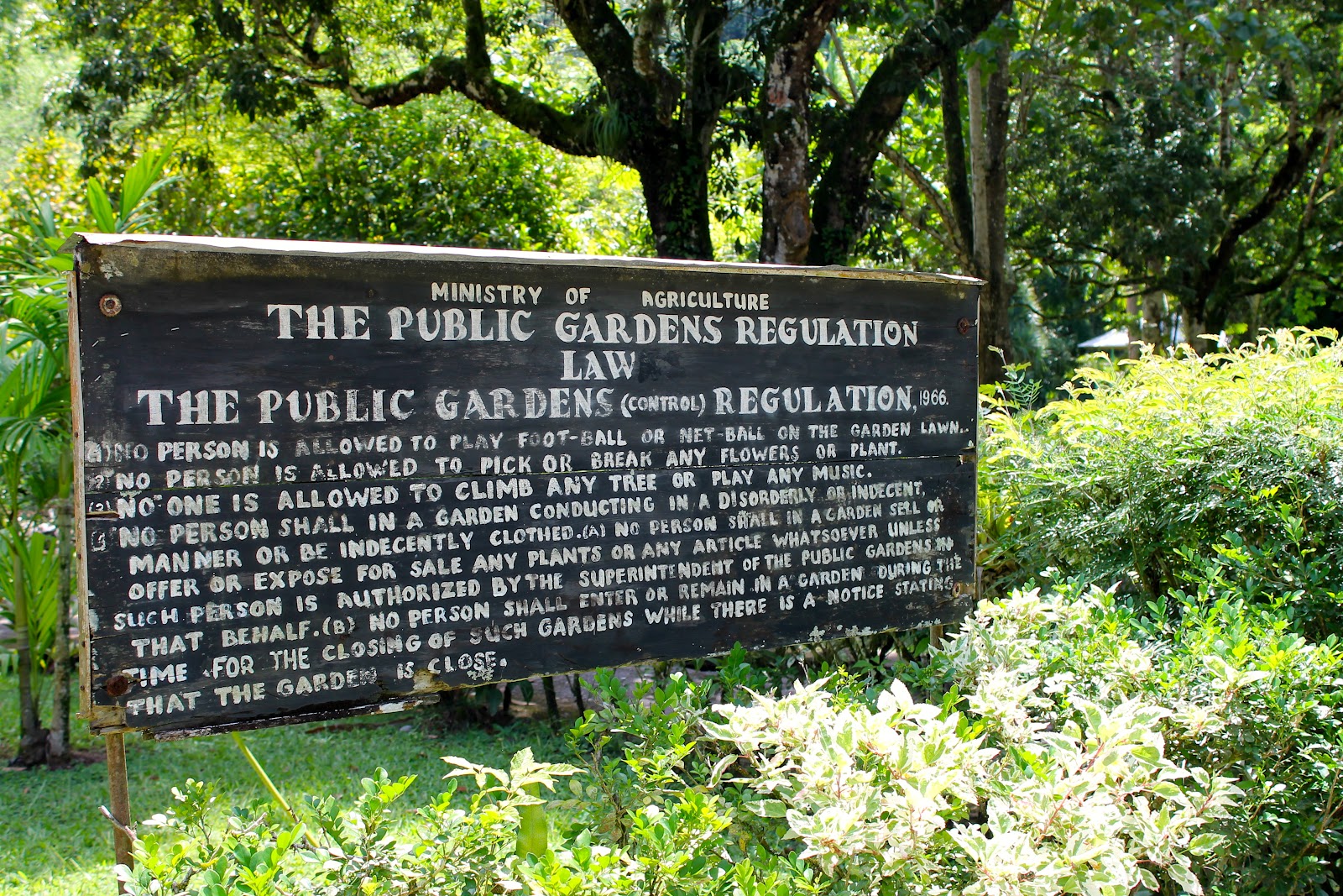 Wendy In Jamaica: Castleton Gardens