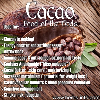 Health & nutrition tips: Cacao - foods of the Gods