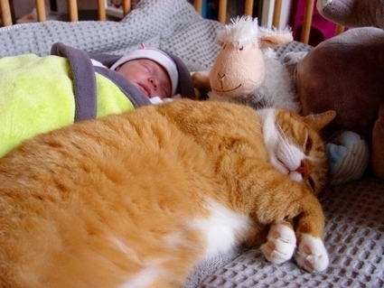 Adorable kids and their pets (25 pics) | Amazing Creatures