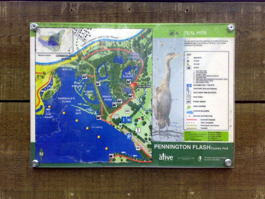 Seyella's Journey: Surprise, Surprise!