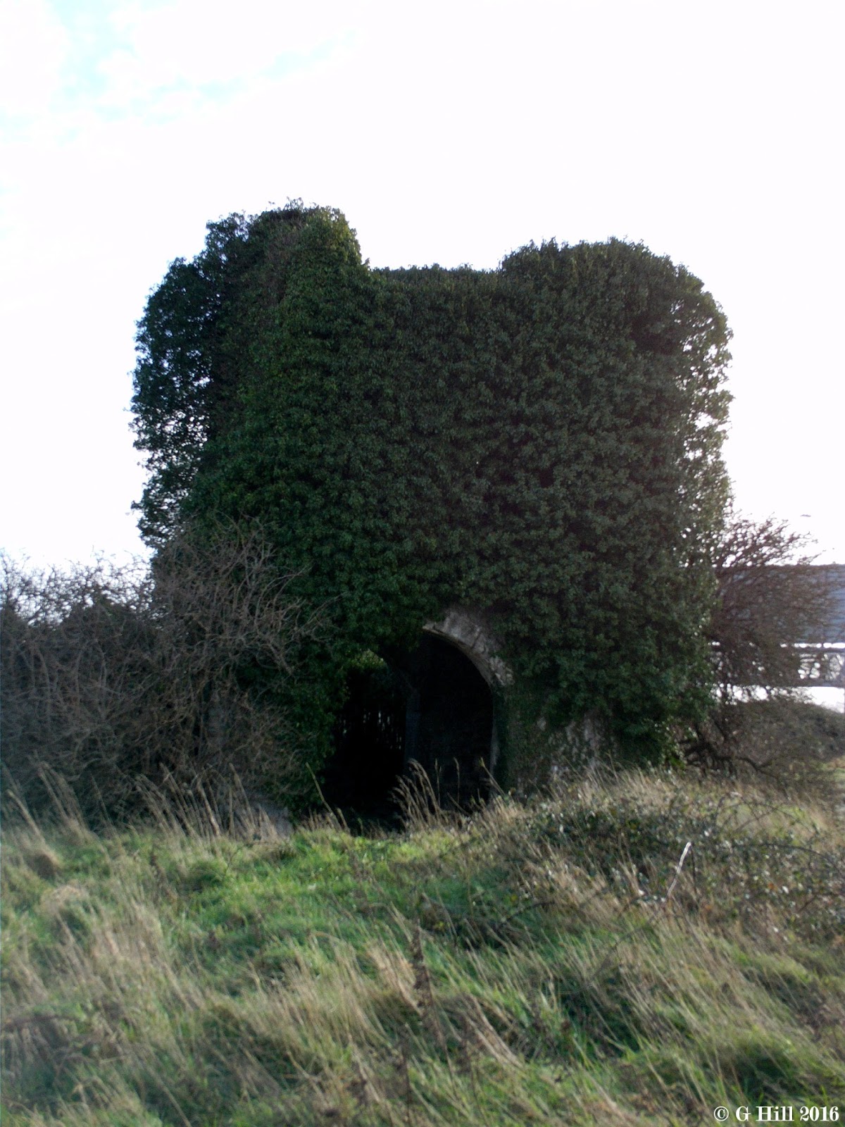 Ireland In Ruins: Ballymount Castle Co Dublin