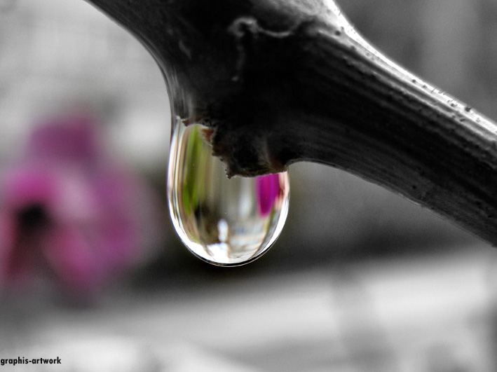 Photographis: Every Teardrop Is A Waterfall - Coldplay / LIFE FOR SALE