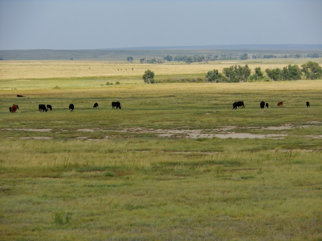 ink spots: Karval Colorado